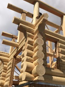 Our Logs - GreatLand Log Homes